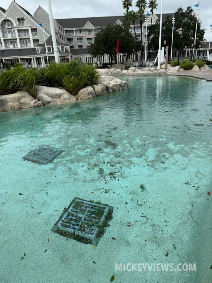 PHOTOS: Disney World Resort Hotels Damaged Due to Hurricane Milton
