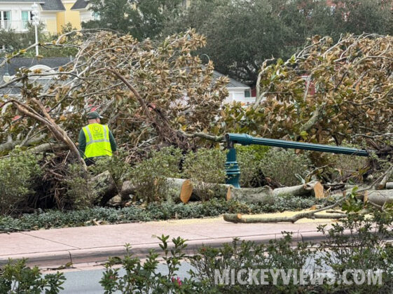 PHOTOS: Disney World Resort Hotels Damaged Due to Hurricane Milton