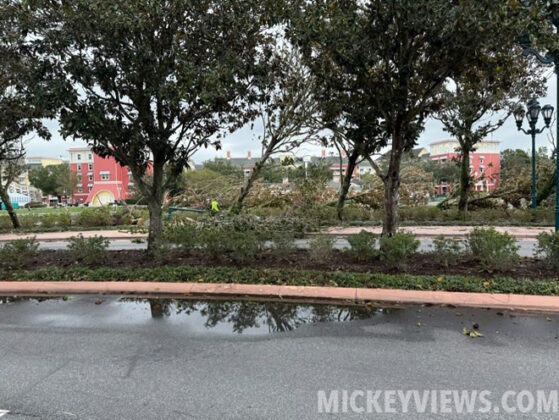 PHOTOS: Disney World Resort Hotels Damaged Due to Hurricane Milton